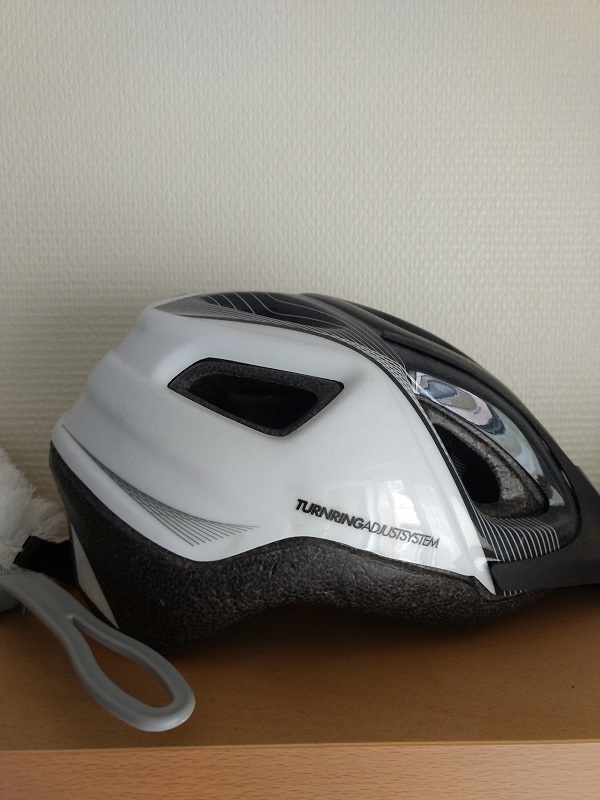 sys32 Object Detection Dataset and Pre-Trained Model by letuan