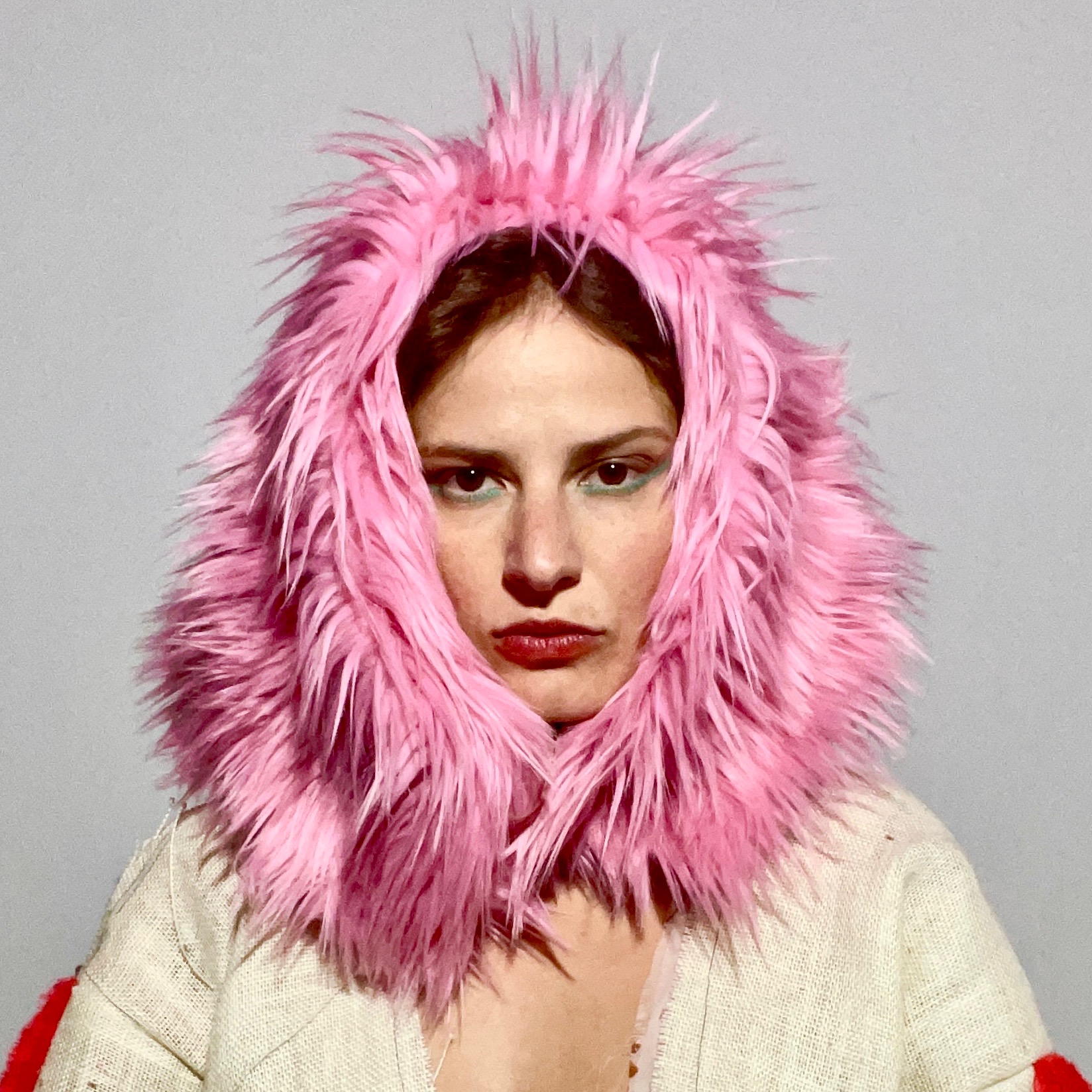 hanski (hanski-ddaoa) - Roboflow Universe