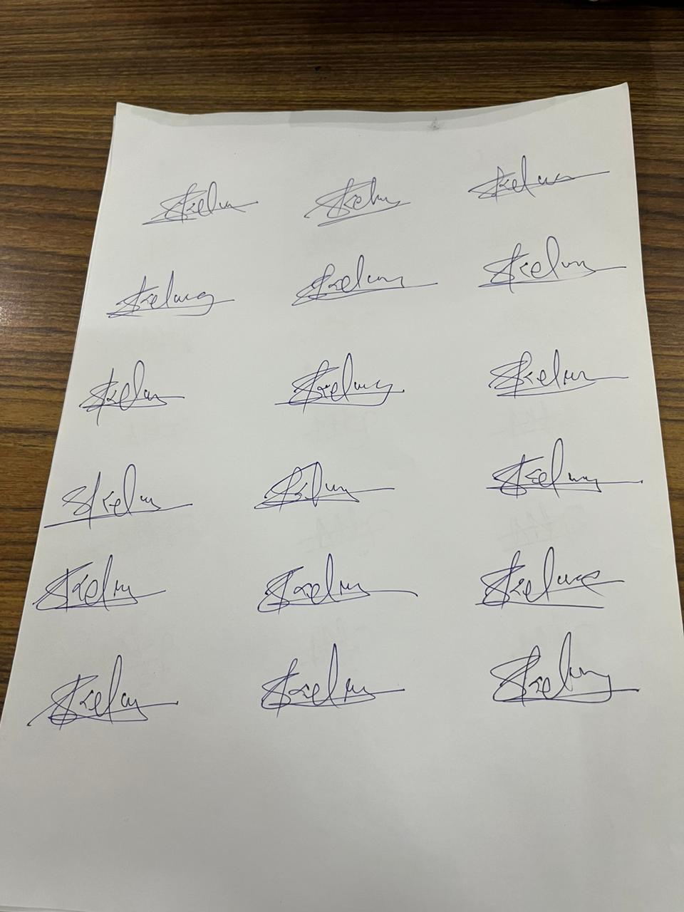 signature varification Object Detection Dataset by philomenas