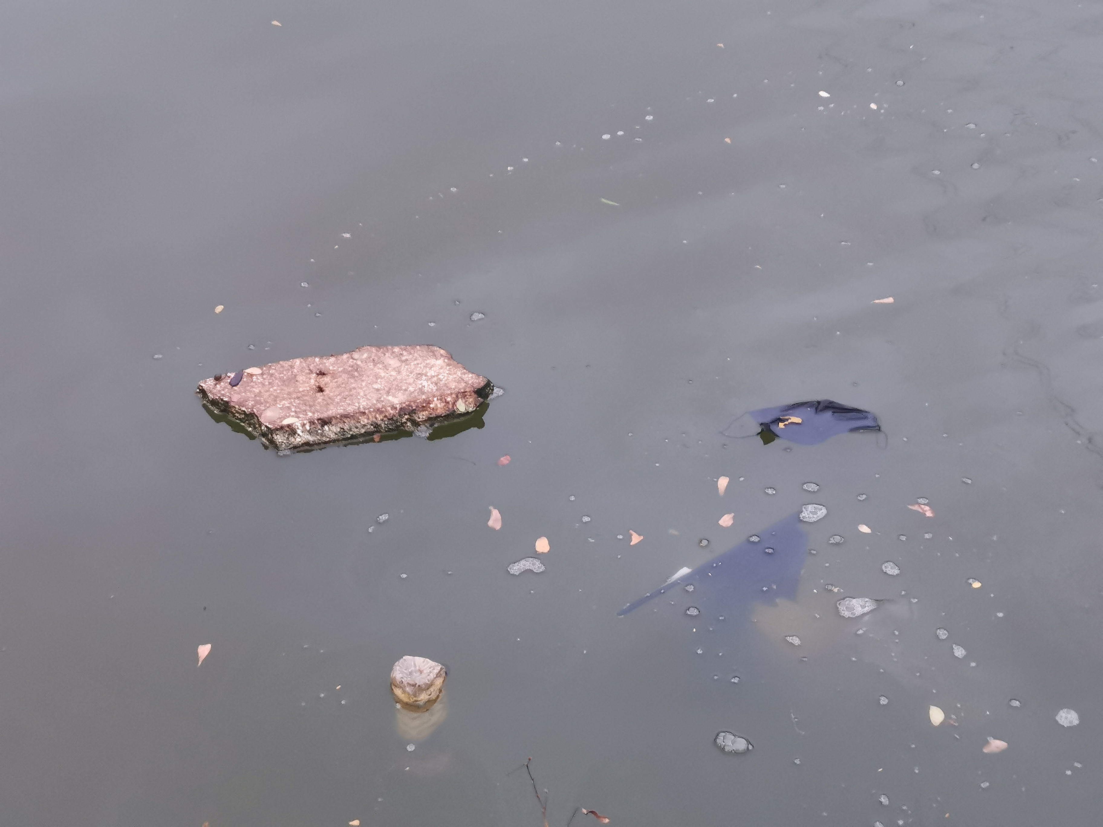 Detecting Marine Debris Object Detection Dataset And Pre Trained Model By Aom Penpitcha