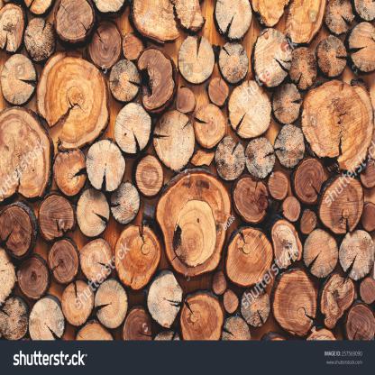 treelogs-detection Object Detection Dataset and Pre-Trained Model by University