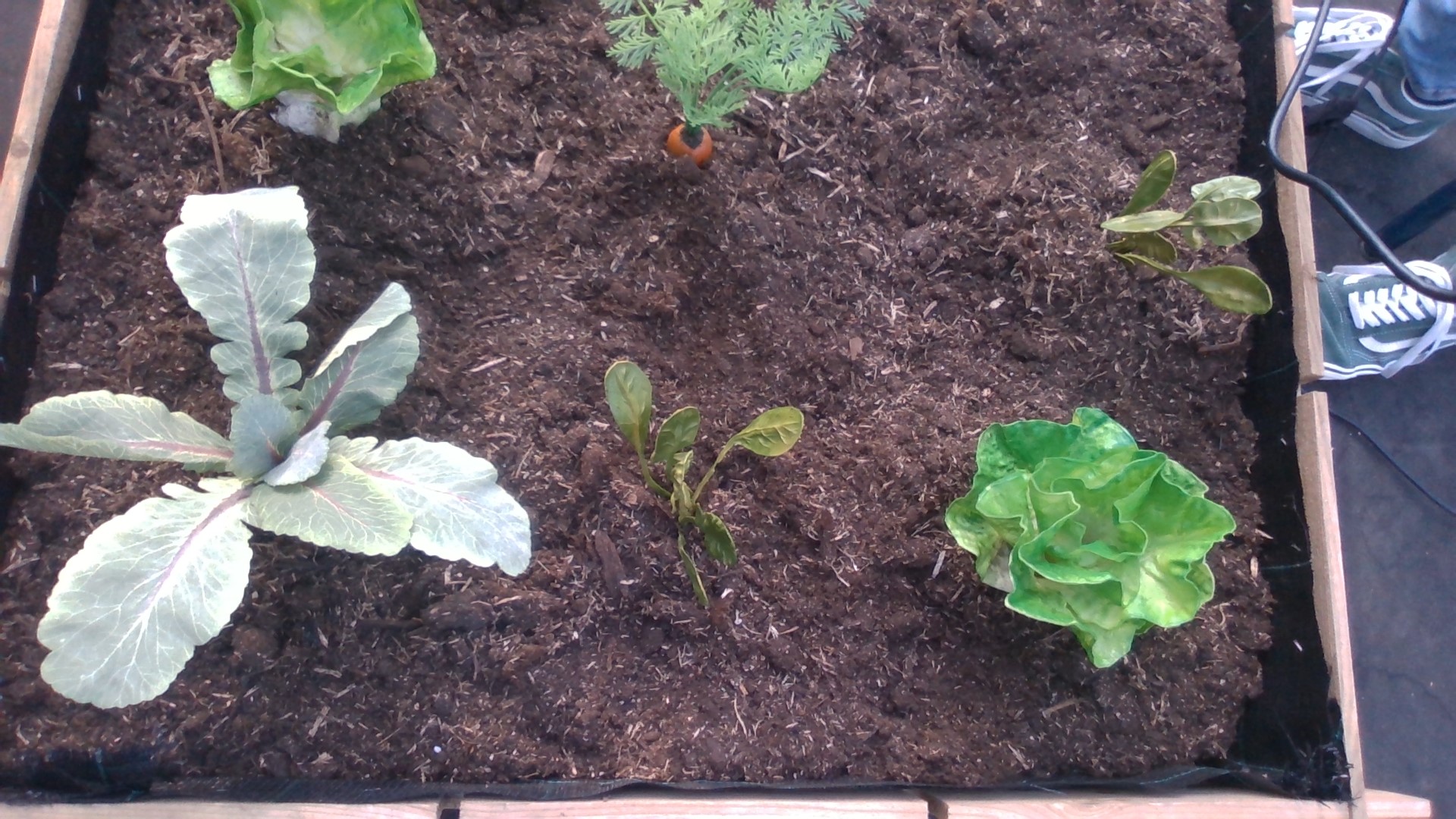 agrobot v3 Object Detection Dataset and Pre-Trained Model by Agrobot