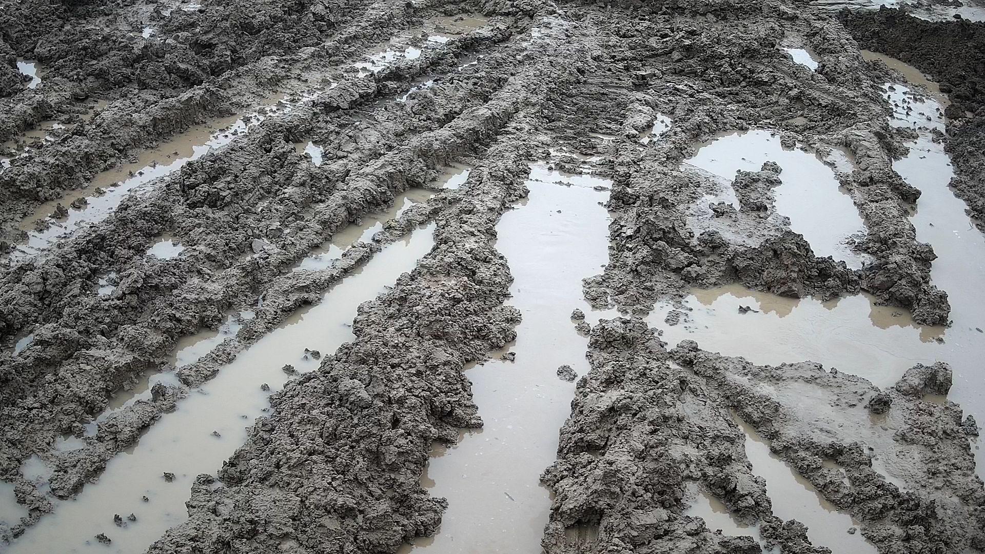 How to Use the Soil type class Semantic Segmentation API