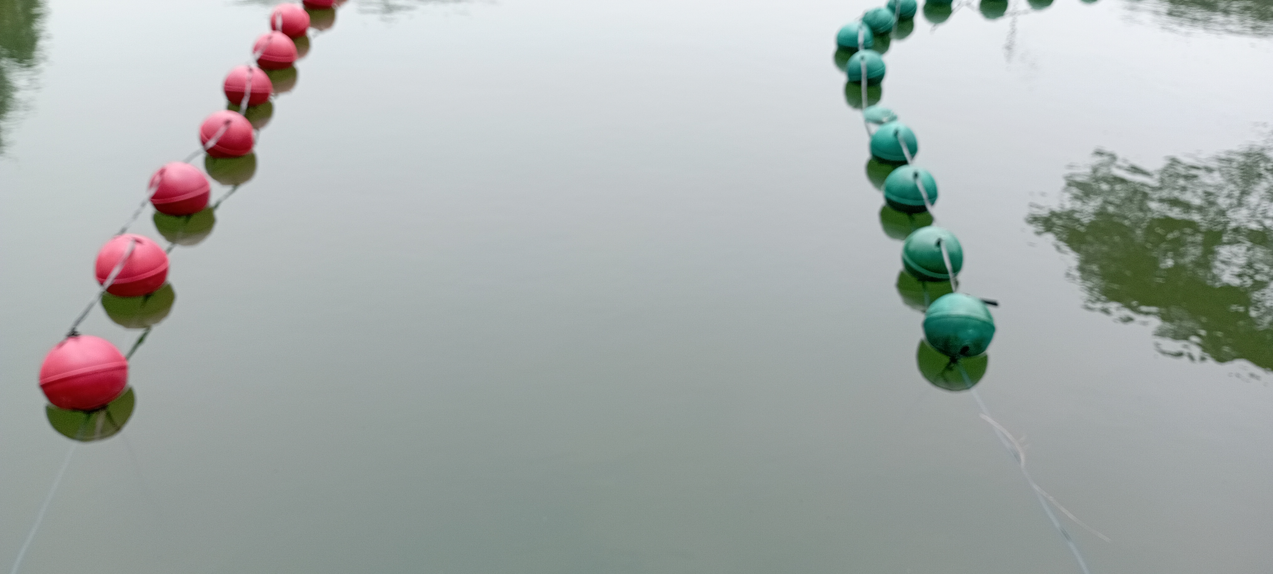 How to Use the PBL Object Detection API