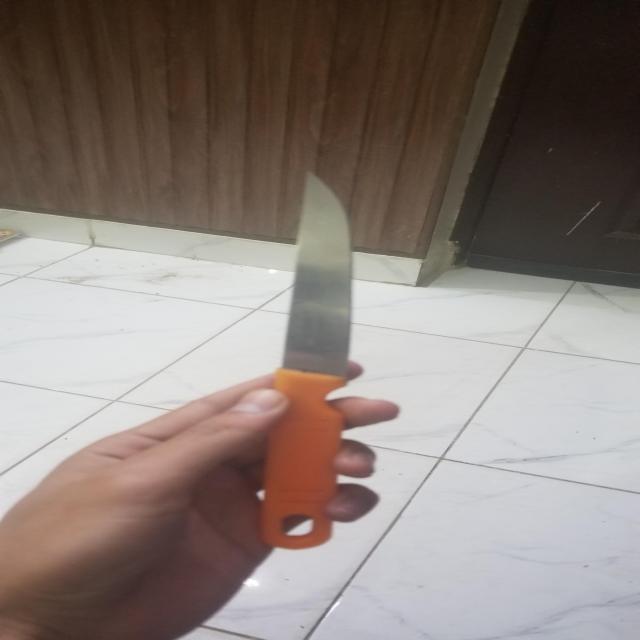 knife Object Detection Dataset and Pre-Trained Model by nonweapon