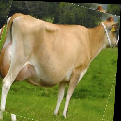 Yasa Object Detection Dataset and Pre-Trained Model by SLIIT