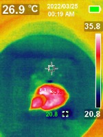 poultry detection for counter Object Detection Dataset and Pre-Trained Model by Mohamed F ...