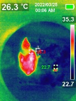 poultry detection for counter Object Detection Dataset and Pre-Trained Model by Mohamed F ...