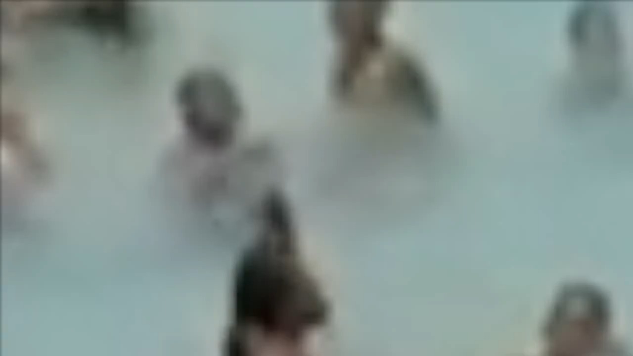 Senior Project4 Object Detection Dataset By Senior Project