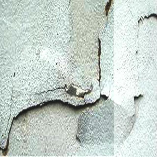 wall crack Instance Segmentation Dataset and Pre-Trained Model by Team5