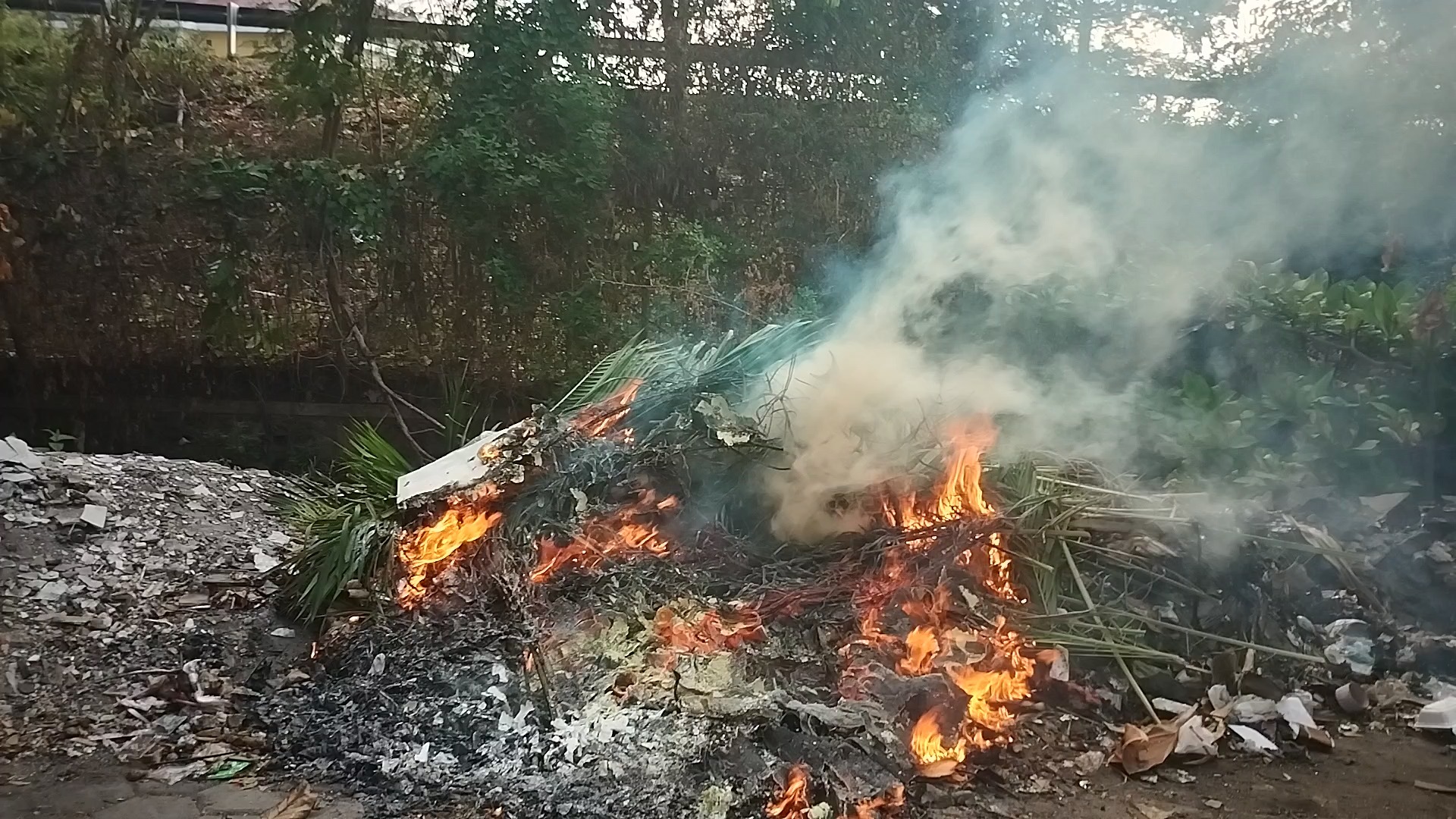 Fire Detector Object Detection Dataset V1 2023 11 21 9 56am By Camera Fire Detector