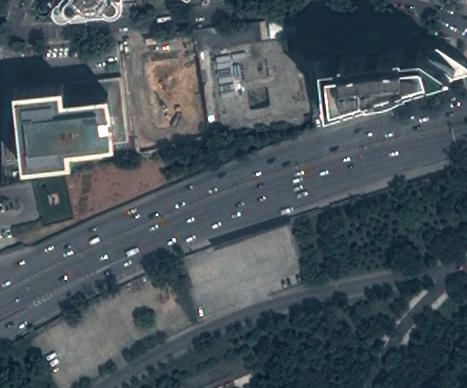 tree detection Object Detection Dataset and Pre-Trained Model by MDworkspace