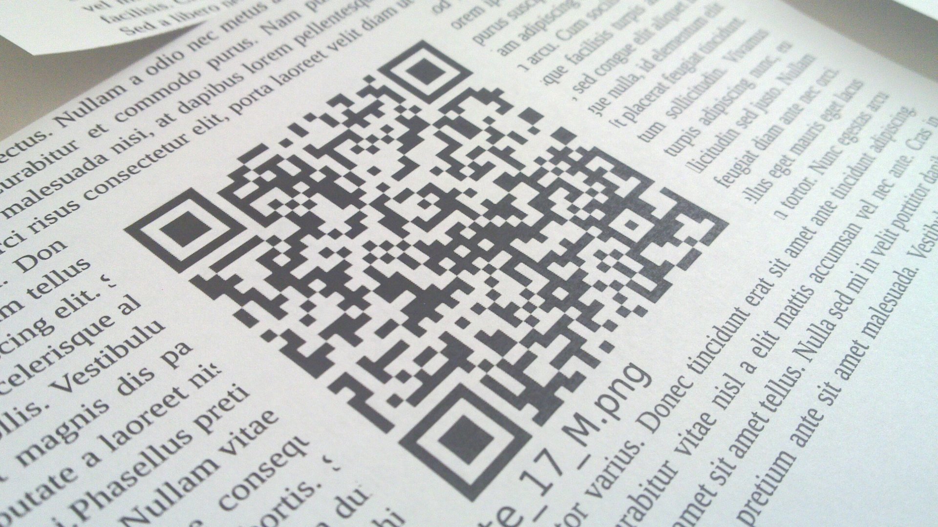 Qr Codes Object Detection Dataset By Cyril B