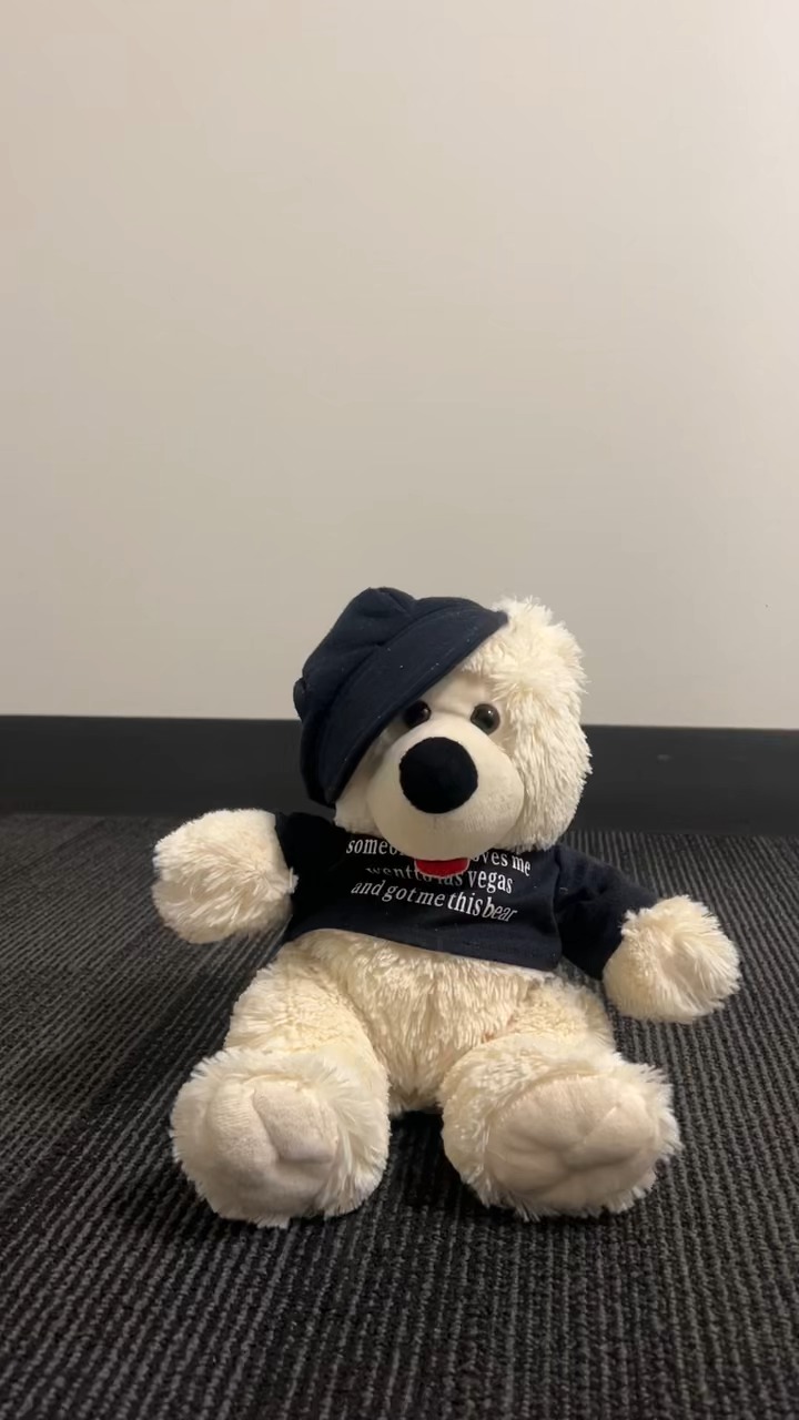 Teddy bear model Dataset and Pre-Trained Model by kobe hulett