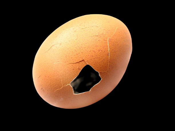 Egg Crack Detection Object Detection Dataset By 360digitmg