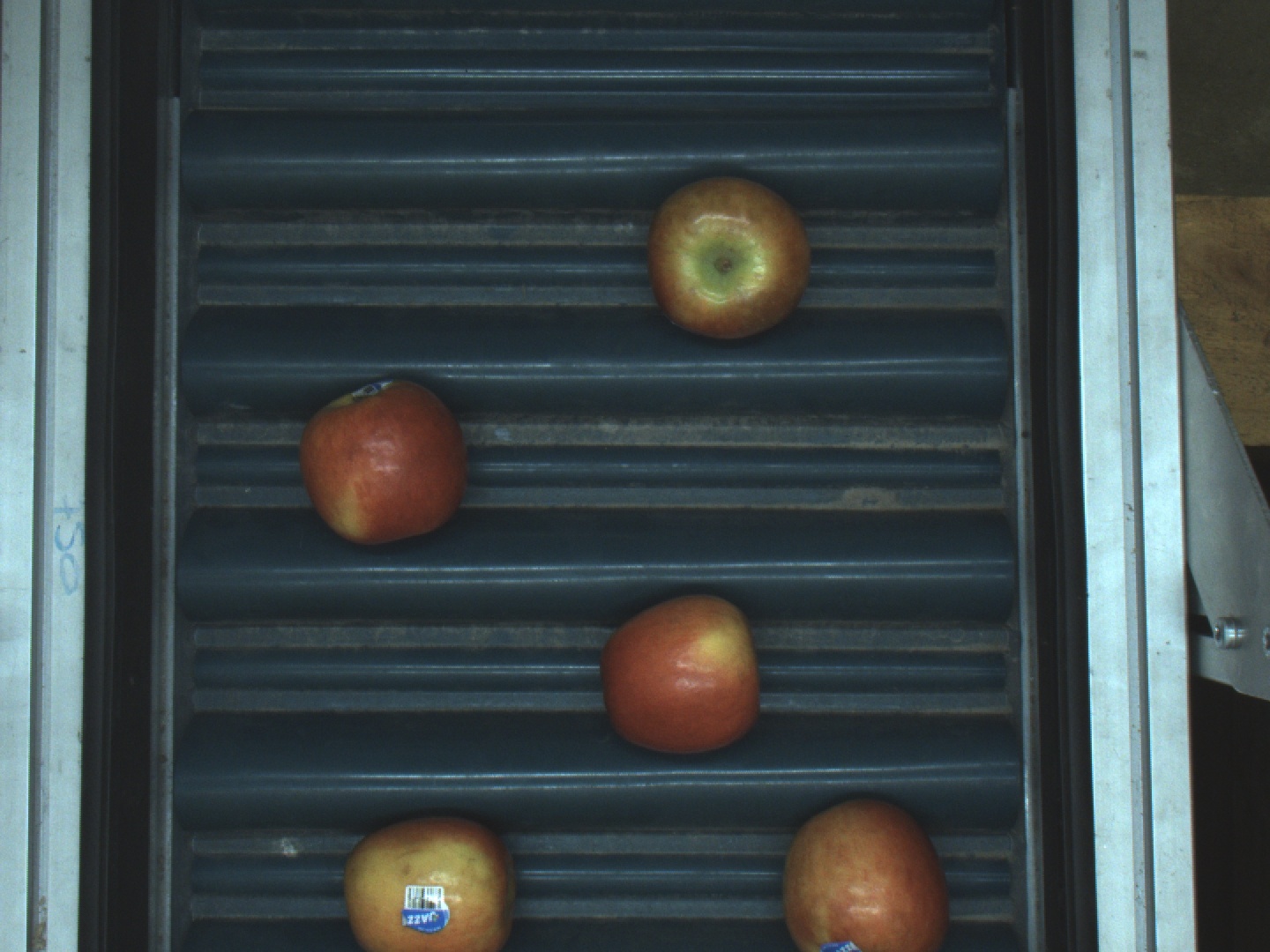 applev2 Object Detection Dataset and Pre-Trained Model by apples