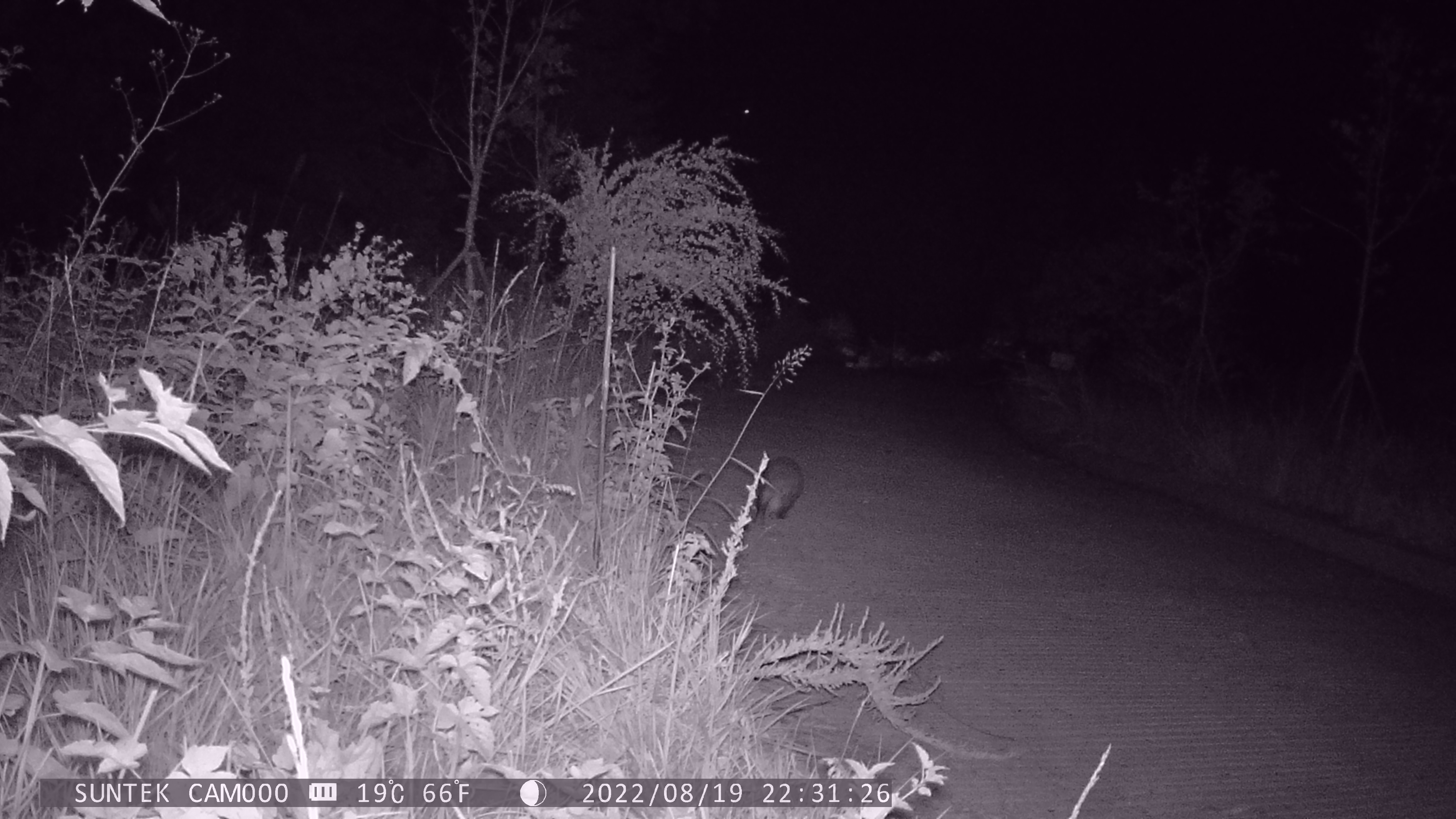 species6_merge_300 Object Detection Dataset by YOLO v8 Tutorial