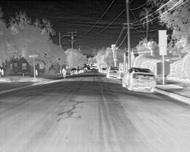 Thermal Detection Roboflow Universe