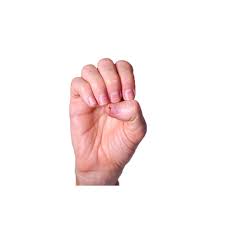 Alphabet in sign language Object Detection Dataset by ANN