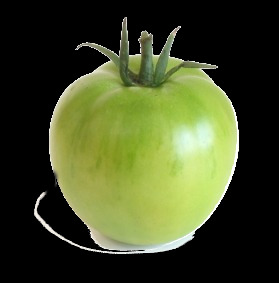 Tomato Object Detection Dataset and Pre-Trained Model by My