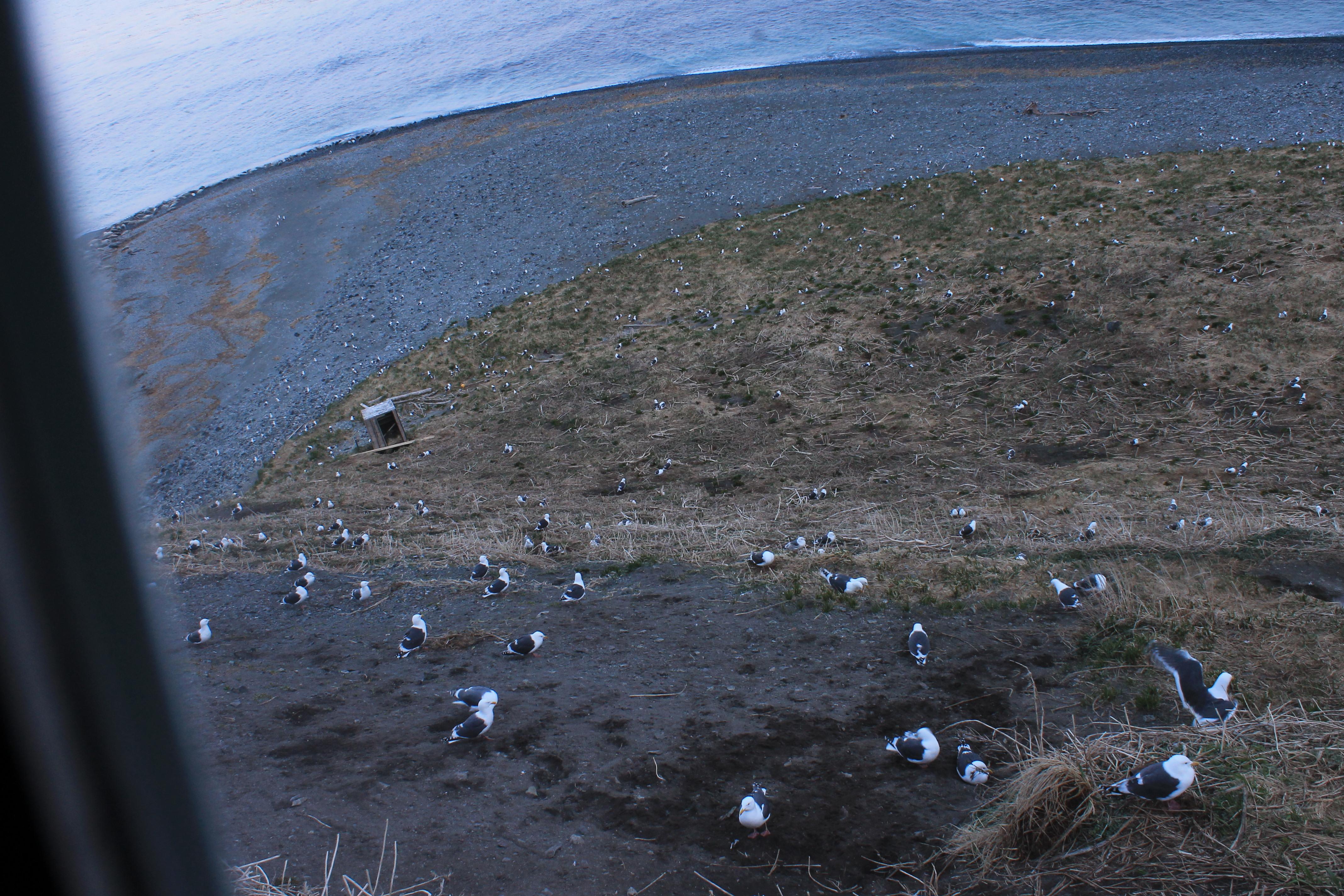 kostyan ml (kostyan-ml-ke7yy) - Roboflow Universe