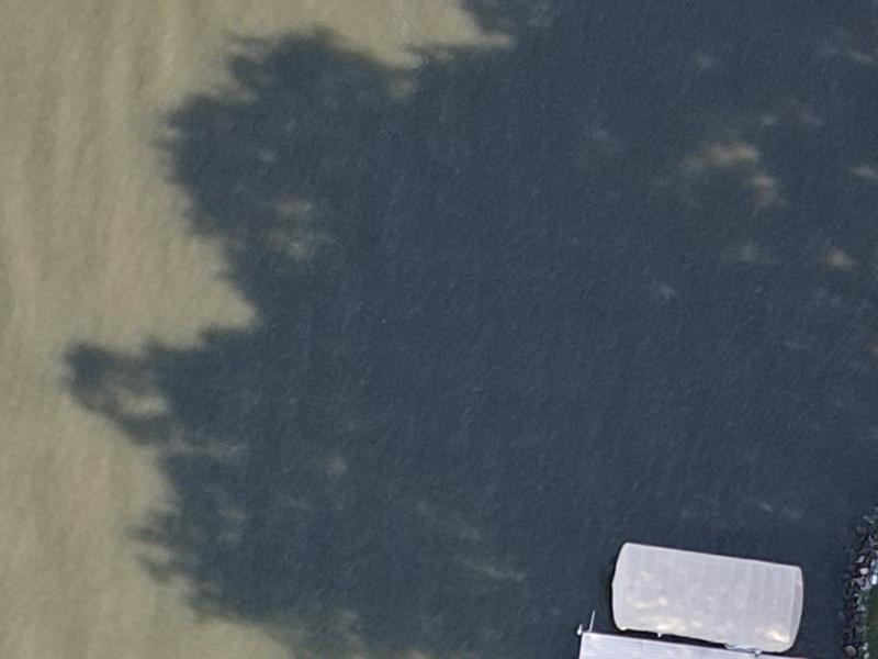 How to Use the coco test Object Detection API