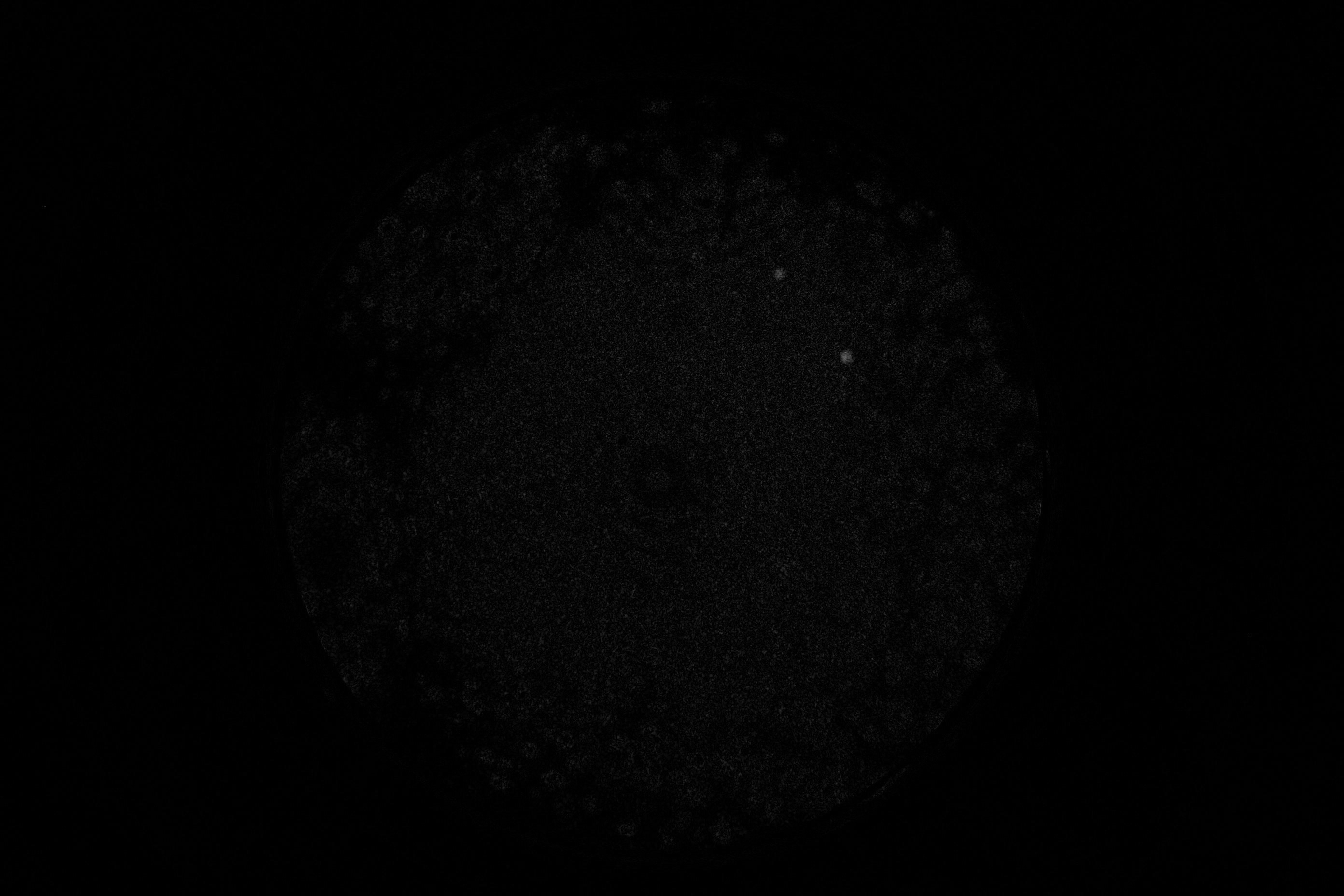 Atom Detection 12 13 Object Detection Dataset By Yuga Azechi