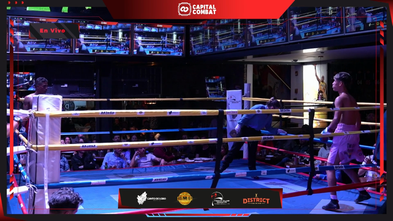 fight-ref Object Detection Dataset and Pre-Trained Model by Canto de Lobo