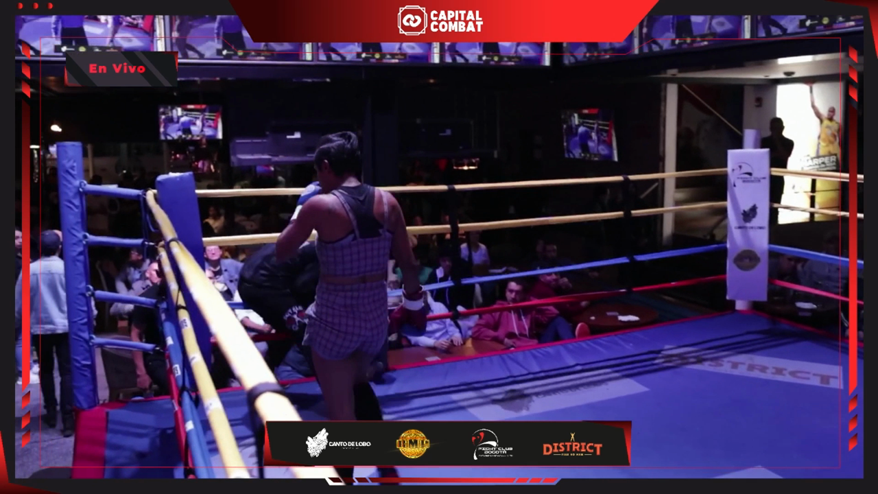 punch-kick-v1 Object Detection Dataset by Canto de Lobo