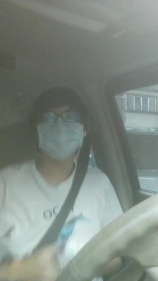 driving behavior Object Detection Dataset and Pre-Trained Model by li