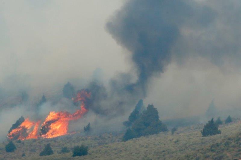 How To Use The Fire Detection Object Detection Api