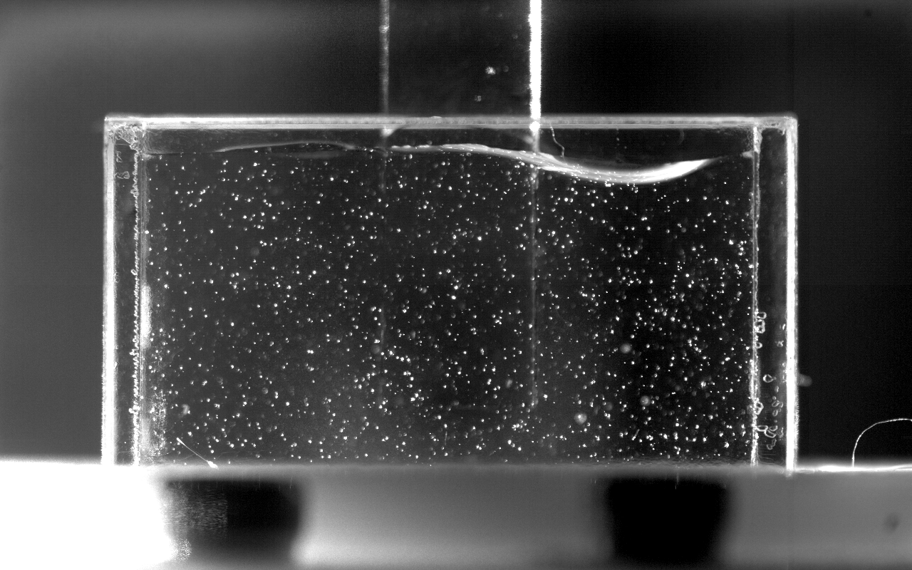 How to Use the micro well Object Detection API