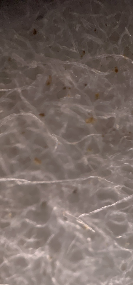 MP Classification Dataset by Microplastic