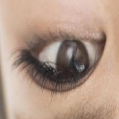 red eye detection Object Detection Dataset by rit