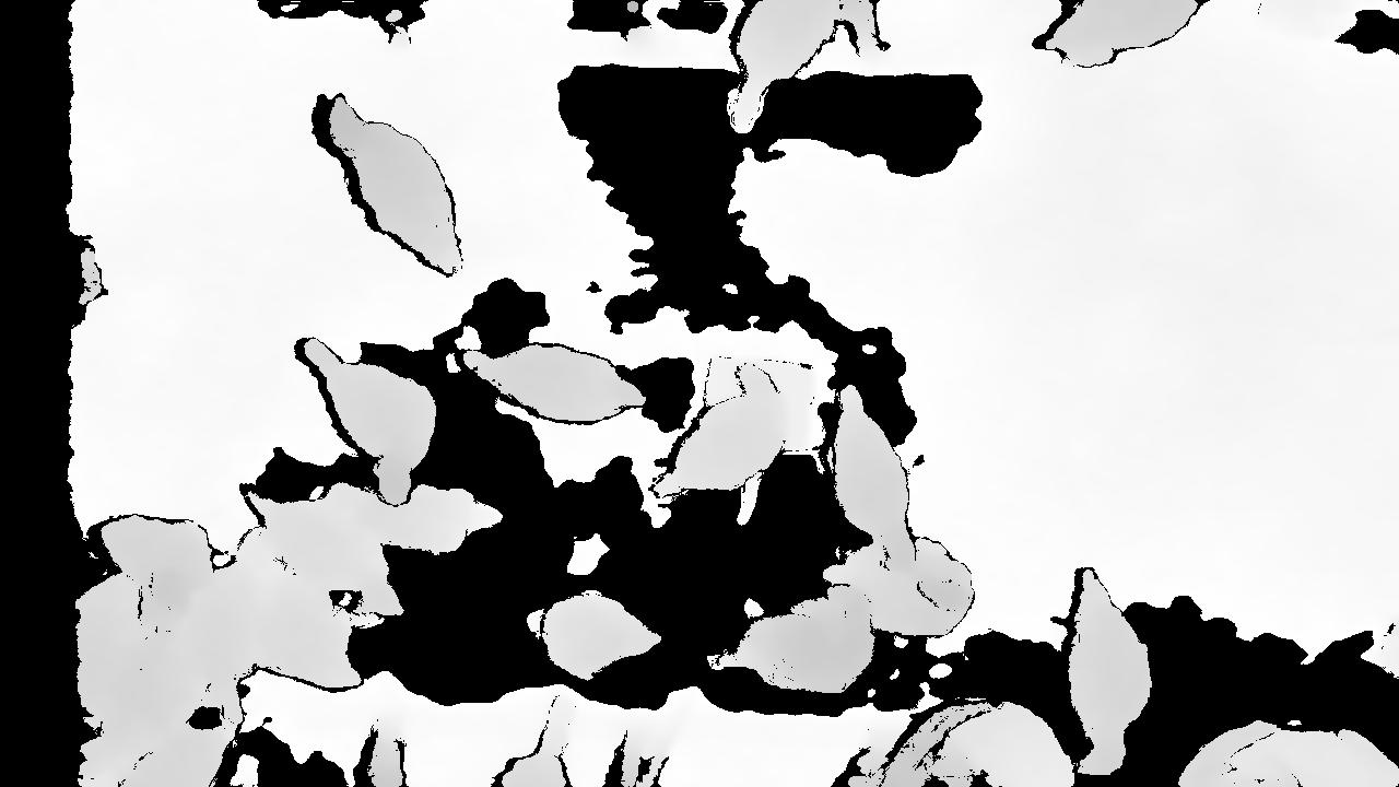 Chicken Setection Instance Segmentation Dataset And Pre Trained Model