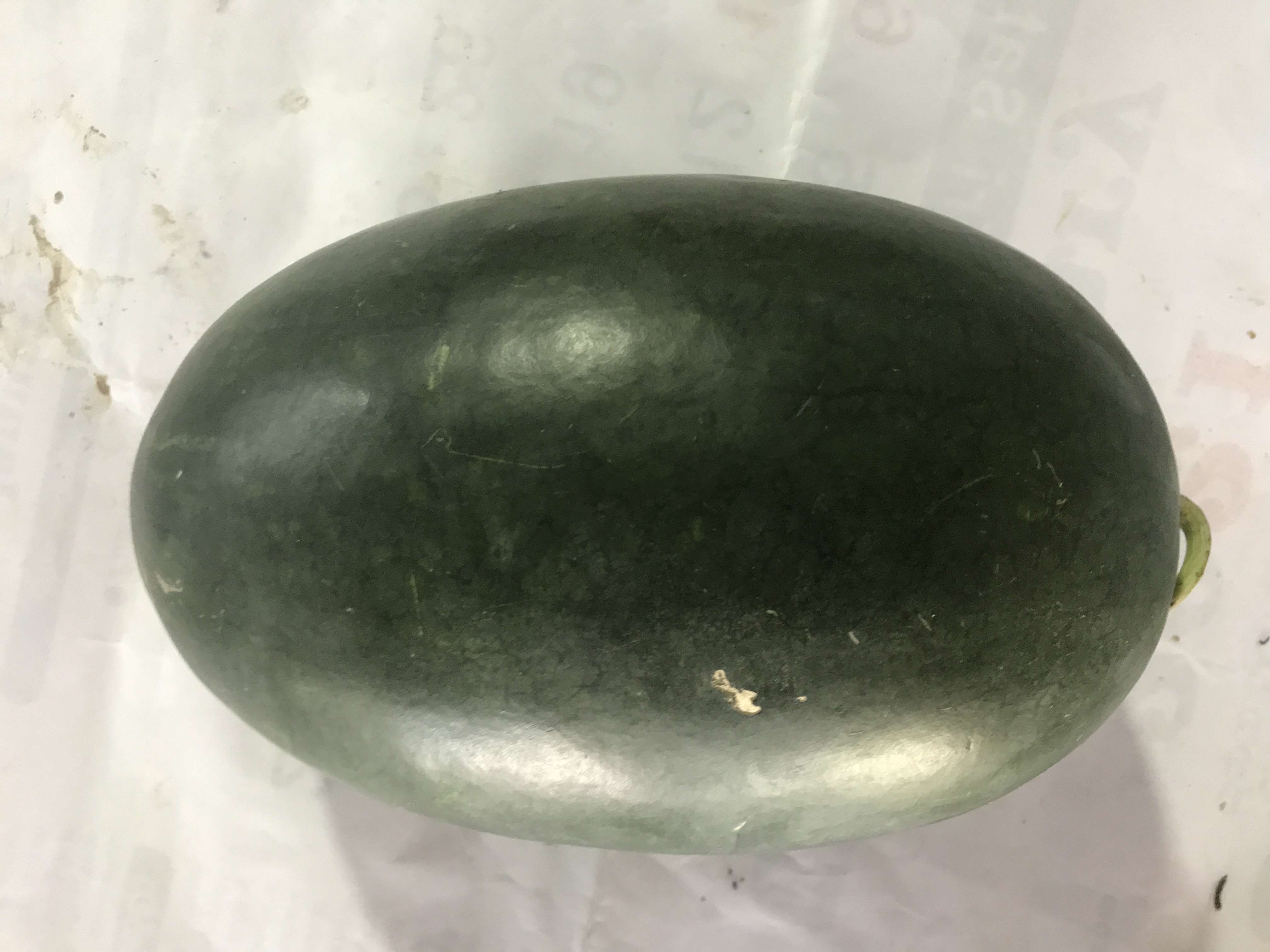 watermelon ripeness grading Object Detection Dataset by fyp