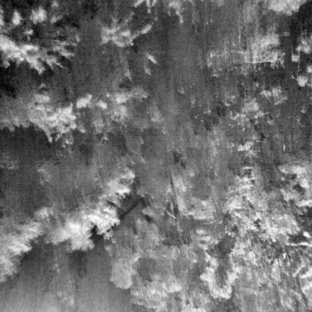 Sar Train Object Detection Dataset By Tran Tram