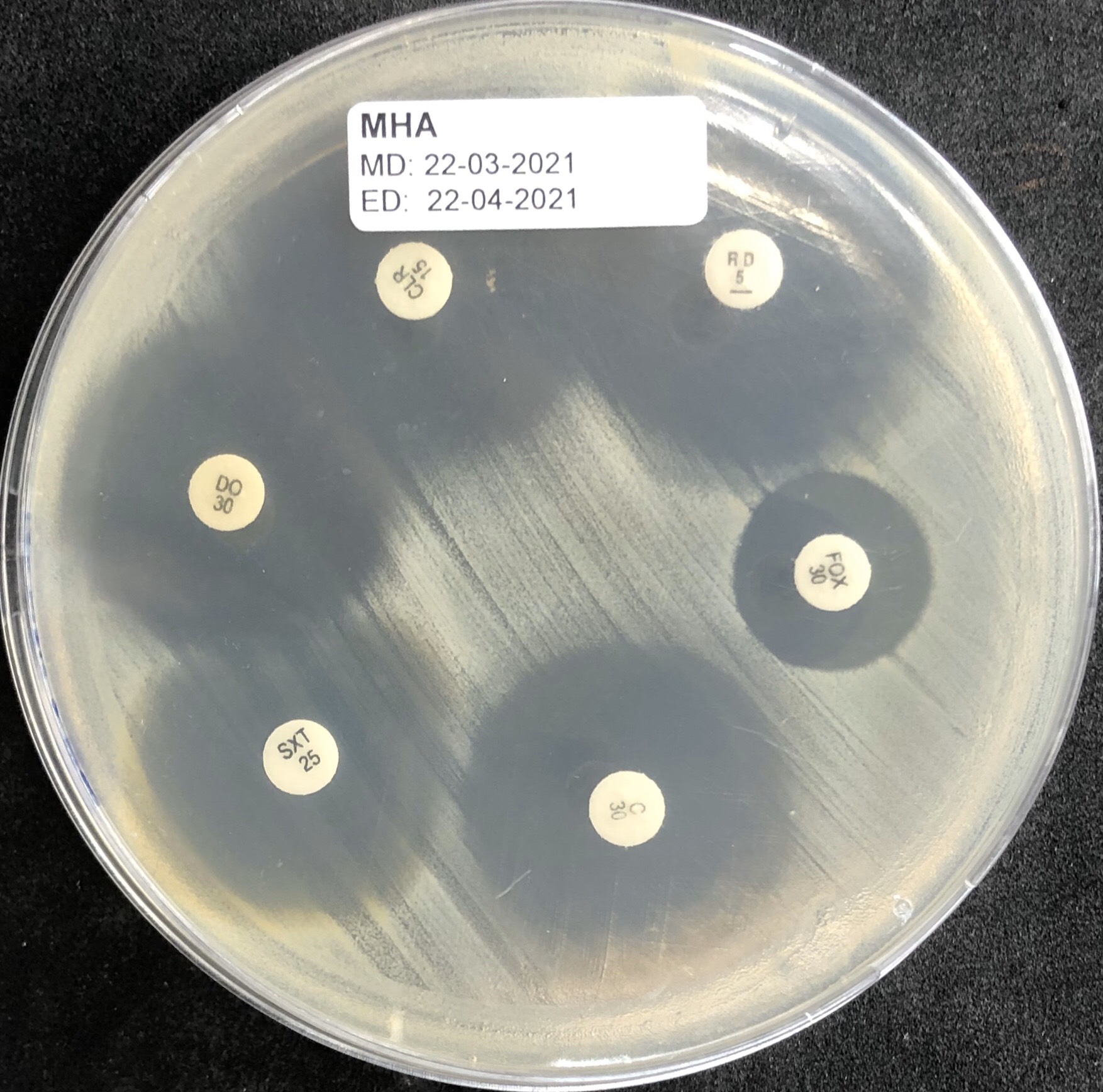 Le Quang Chien - Roboflow Universe