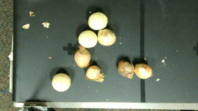 Onion Classification Object Detection Dataset and Pre-Trained Model by Lab