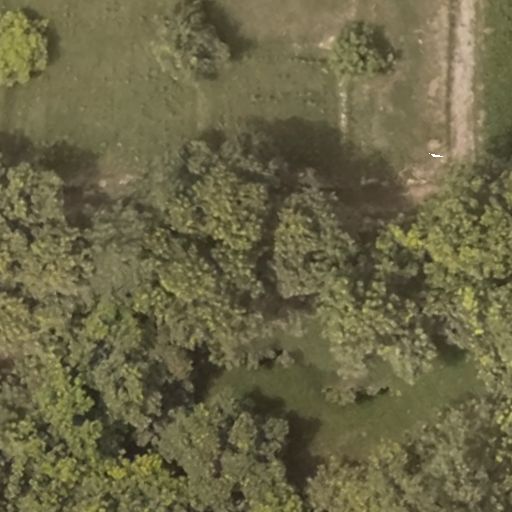 Mango Fyp Object Detection Dataset And Pre Trained Model By Mangofyp