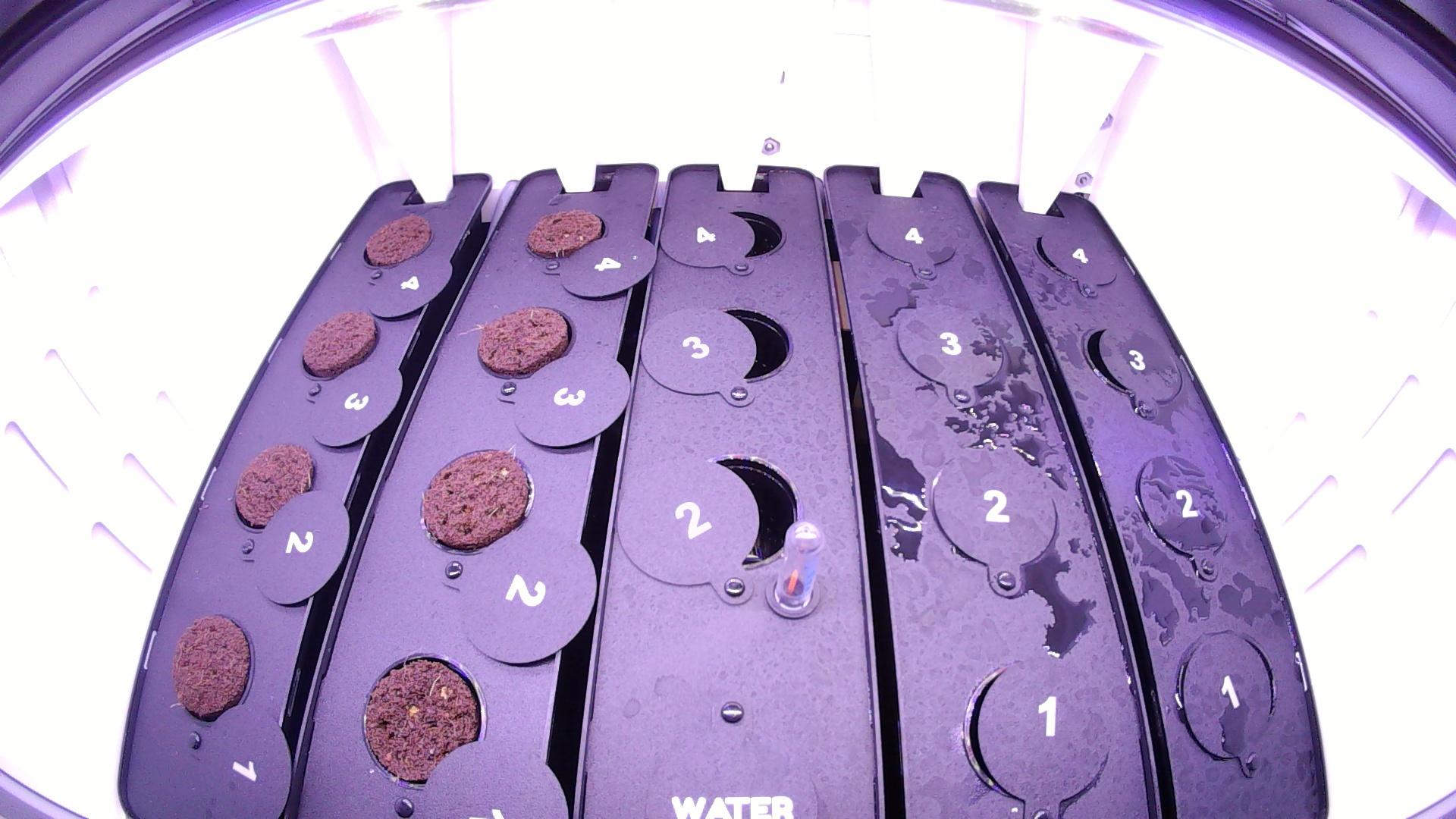 lettuce pallets Object Detection Dataset and Pre-Trained Model by Roboflow 100