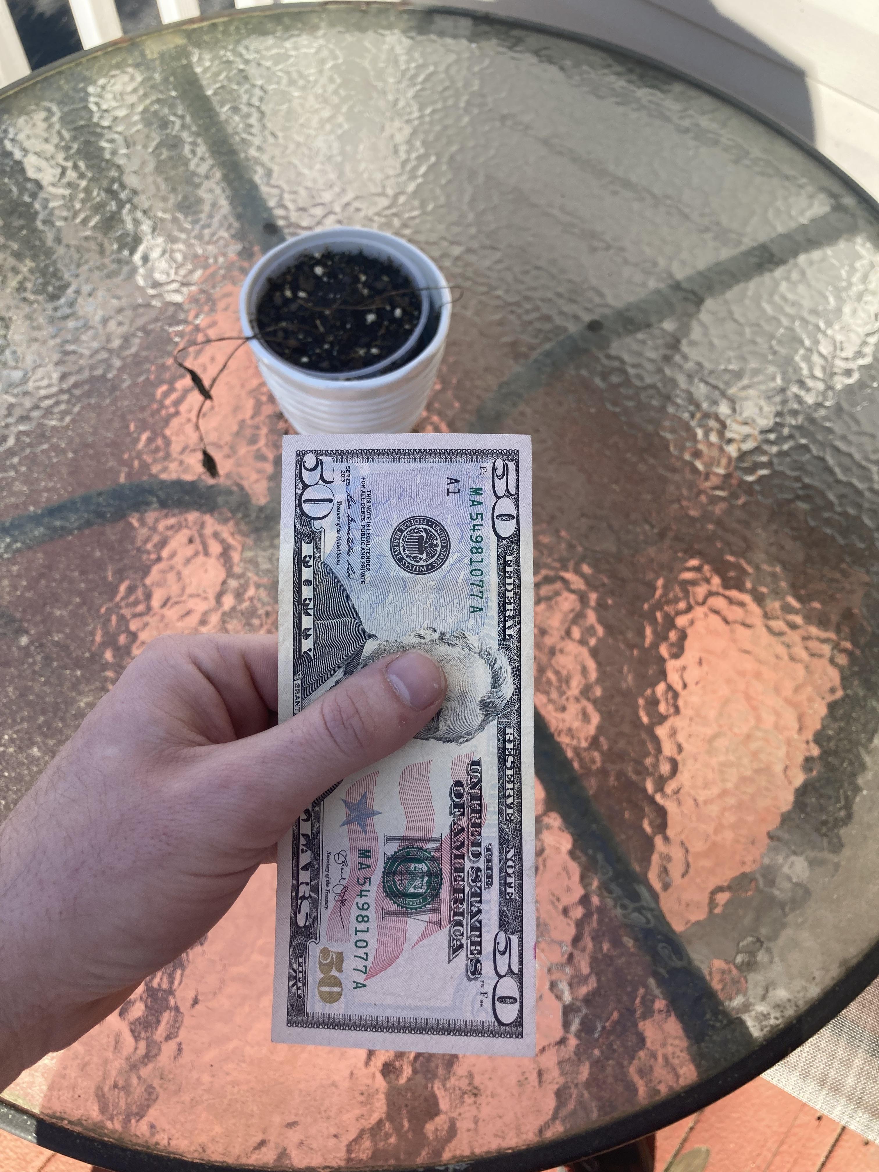 currency Object Detection Dataset and Pre-Trained Model by Roboflow 100