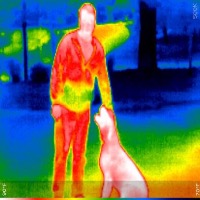 thermal dogs and people Object Detection Dataset and Pre-Trained Model ...