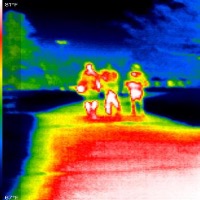 thermal dogs and people Object Detection Dataset and Pre-Trained Model ...
