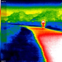 thermal dogs and people Object Detection Dataset and Pre-Trained Model ...