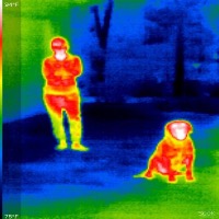thermal dogs and people Object Detection Dataset and Pre-Trained Model ...