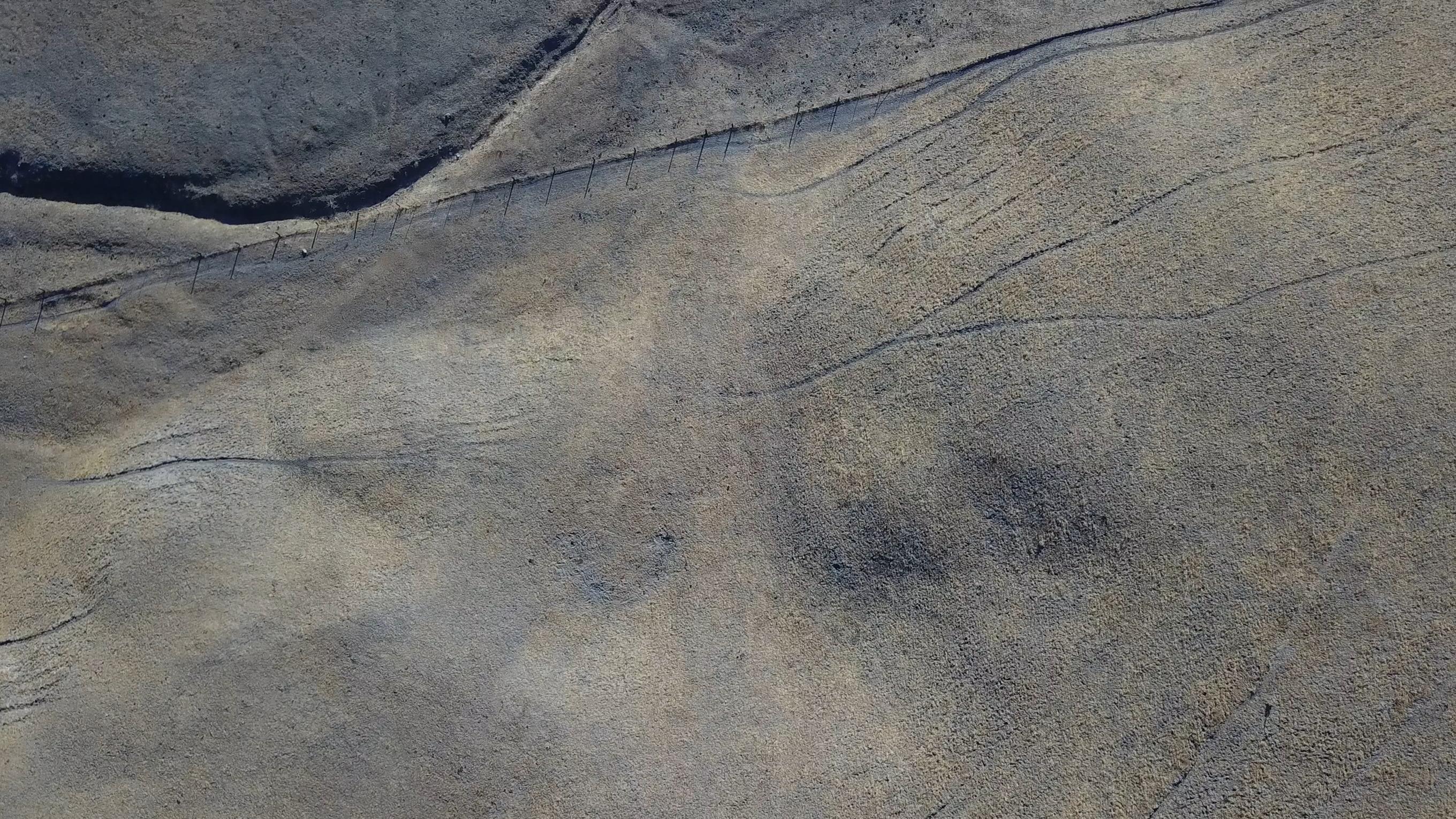 Aerial Cows Object Detection Dataset V2 Release By Roboflow 100