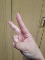 sign language Object Detection Dataset and Pre-Trained Model by Roboflow 100