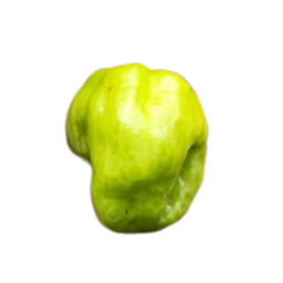 katokkon classification Classification Dataset and Pre-Trained Model by ...