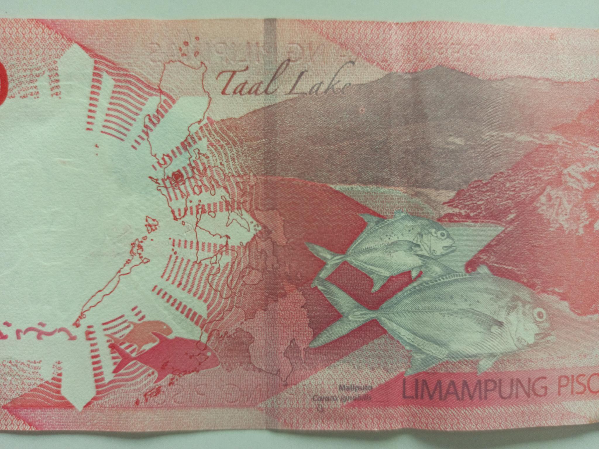 philippine paper bill Object Detection Dataset and Pre-Trained Model by ...